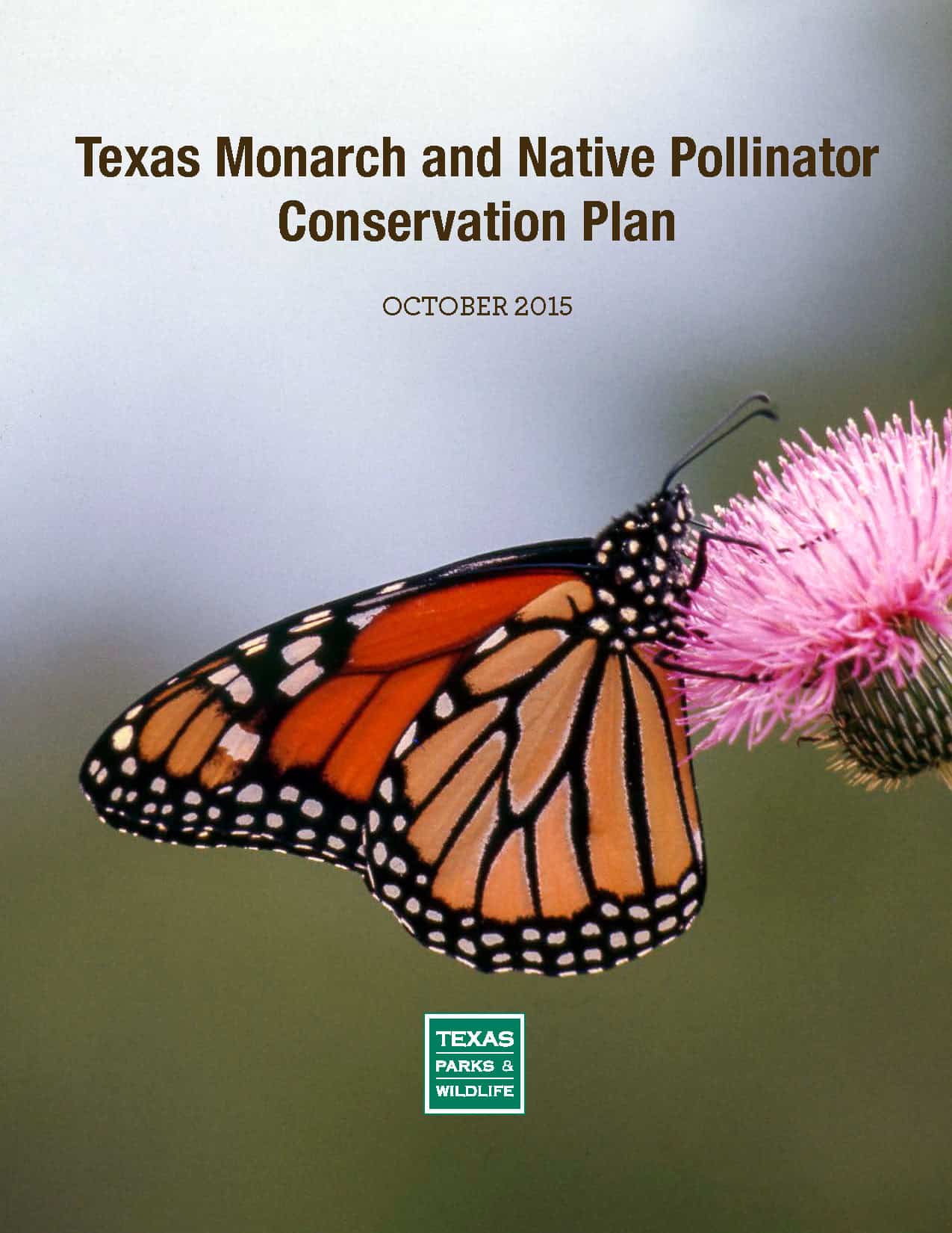 Texas Monarch and Native Pollinator Conservation Plan - Rights-of-Way ...