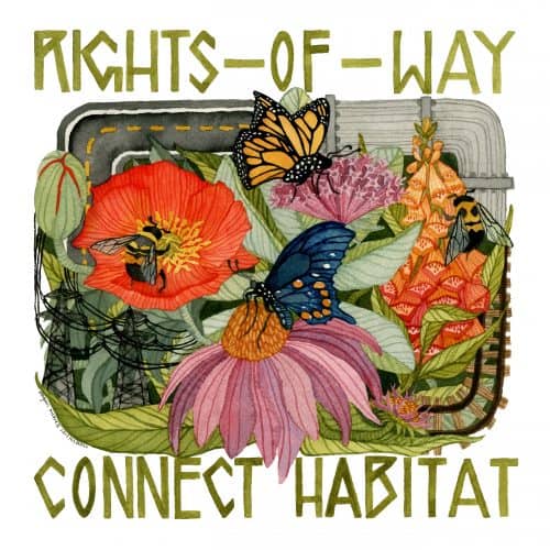 About - Rights-of-Way as Habitat Working Group