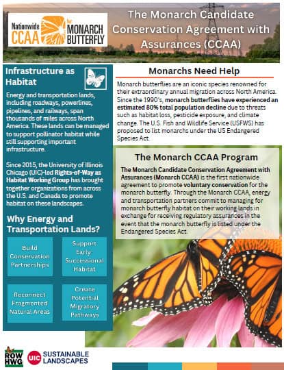 Introduction to the Monarch CCAA Flyer - Rights-of-Way as Habitat ...